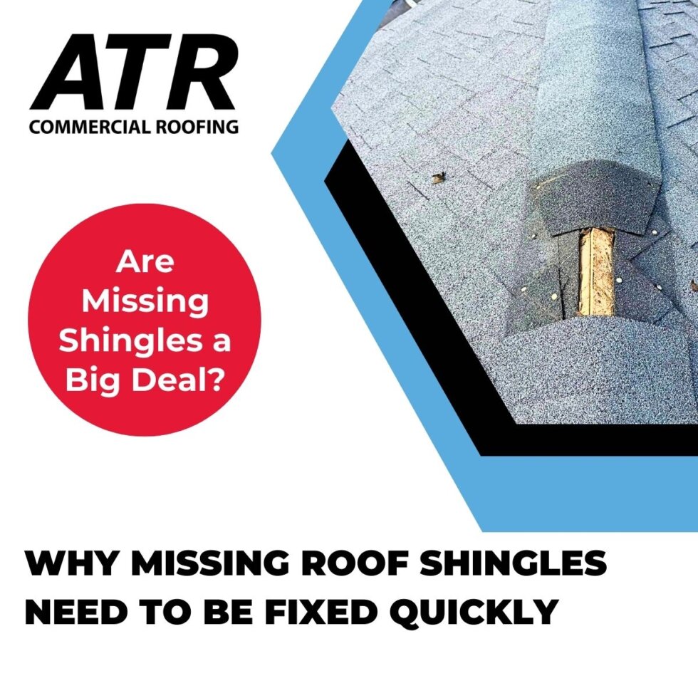 Why Missing Roof Shingles Need to be Fixed Quickly - ATR Roofing