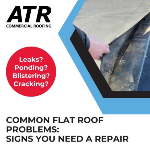 Common Flat Roof Problems: Signs You Need a Repair - ATR Roofing