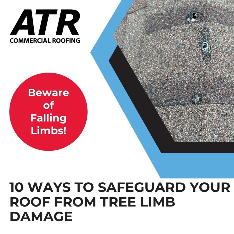 10 Ways to Safeguard Your Roof from Devastating Tree Limb Damage - ATR ...